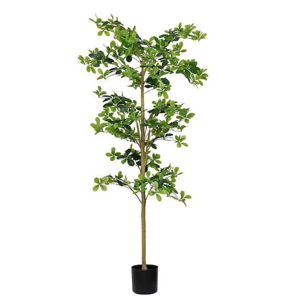 5.9 ft. Artificial Magnolia Tree in Black Plastic Pot 5.9FT-TT-B - The ...