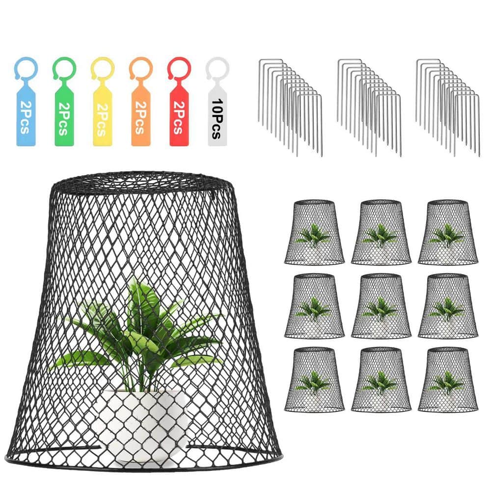 Phewnyzo 9.06 in. Black Metal Chicken Wire Cloches Plant Covers, Heavy ...
