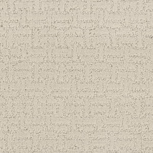 Home Decorators Collection 8 in. x 8 in. Pattern Carpet Sample ...