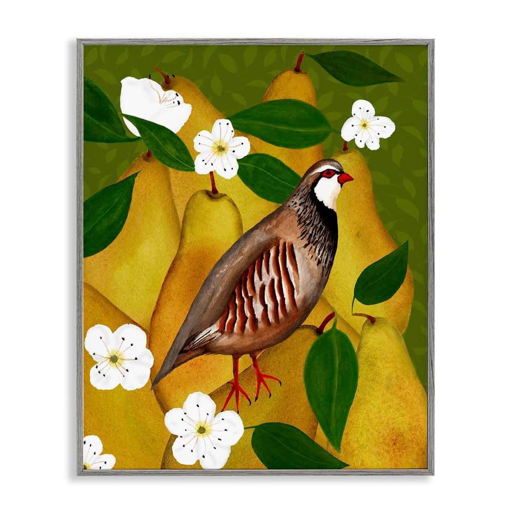 Stupell Industries Partridge Bird and Pears by Michelle Ingari Designs ...