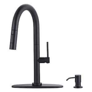 WOWOW Single-Handle Pull Down Sprayer Kitchen Faucet with Glass Rinser ...