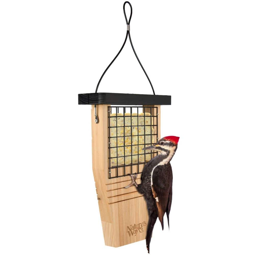 Nature's Way Cedar Tail Prop Suet Feeder 1 Cake CWF1-IP - The Home Depot