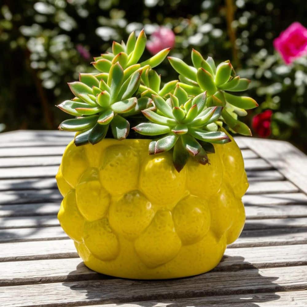 Liv & Skye Yellow Ceramic Sculpted Lemons Design Decorative Planter (7 ...