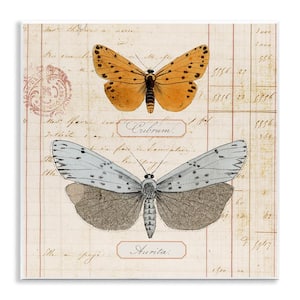 Stupell Industries Vintage Butterfly Breeds by Susan Arnot Unframed ...