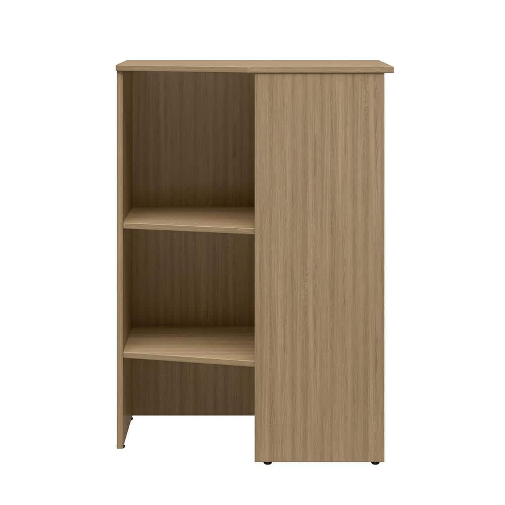 StyleWell Reynolds 20 in W x 42 in H Monterrey Oak Particle Board ...