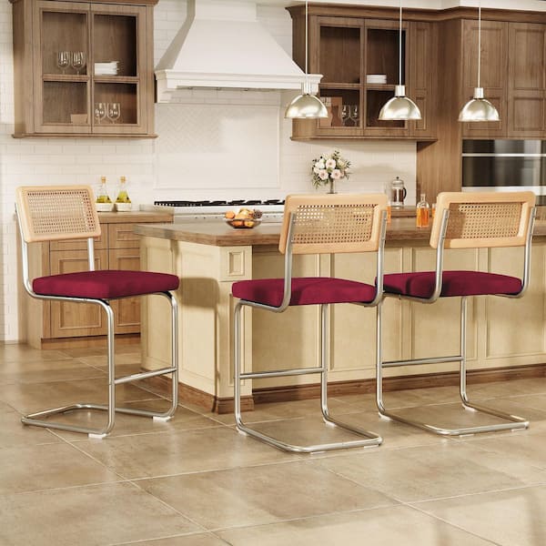 JEAREY 40 in. H Burgundy Rattan-Back Stainless Steel Bar Stool with ...