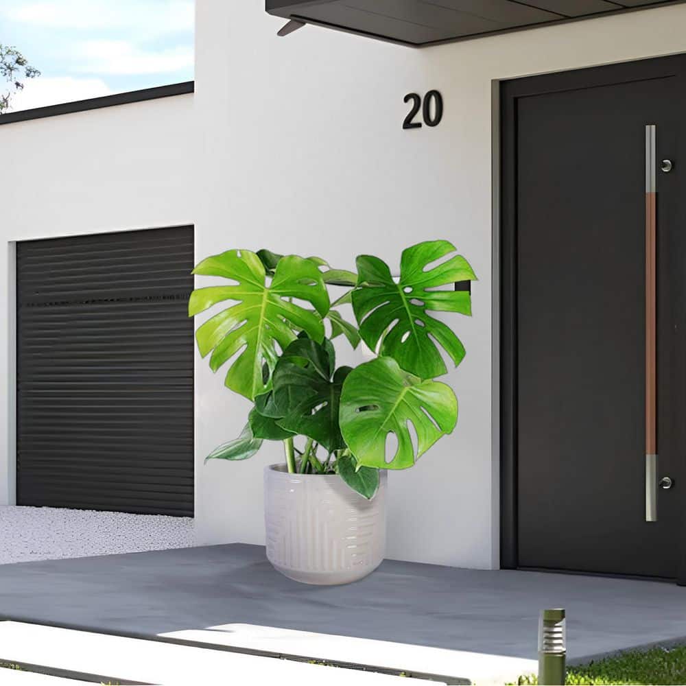 Noble House Dashiell Large Milk White Ceramic Patio Outdoor Planter (16 ...