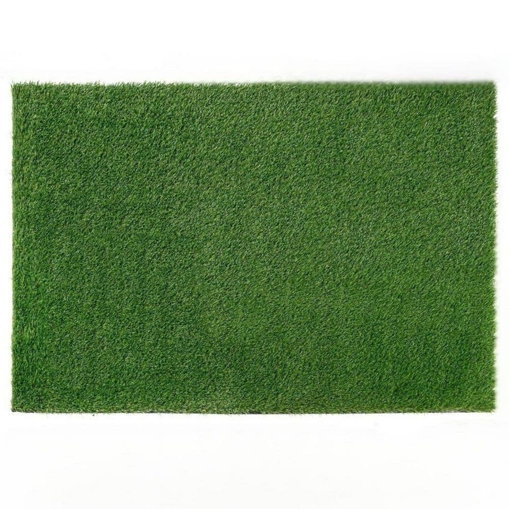 Otryad 3ft x 16ft Premium Artificial Turf Mat with Drainage Holes ...