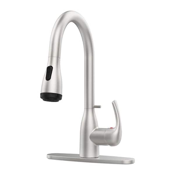 FLG Single Handle Pull Down Sprayer Kitchen Faucet with Pull Out Spray ...