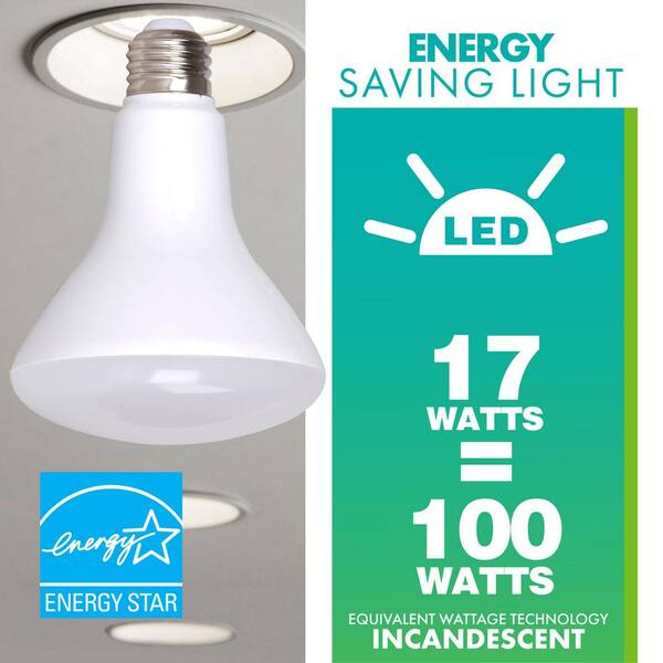 R40 Light Bulb Dimensions | Shelly Lighting