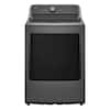 LG 7.3 cu. ft. Vented Electric Dryer in Monochrome Grey with Sensor Dry ...
