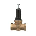 Cash Acme 1 in. Bronze EB-45 Double Union Pressure Regulating Valve ...