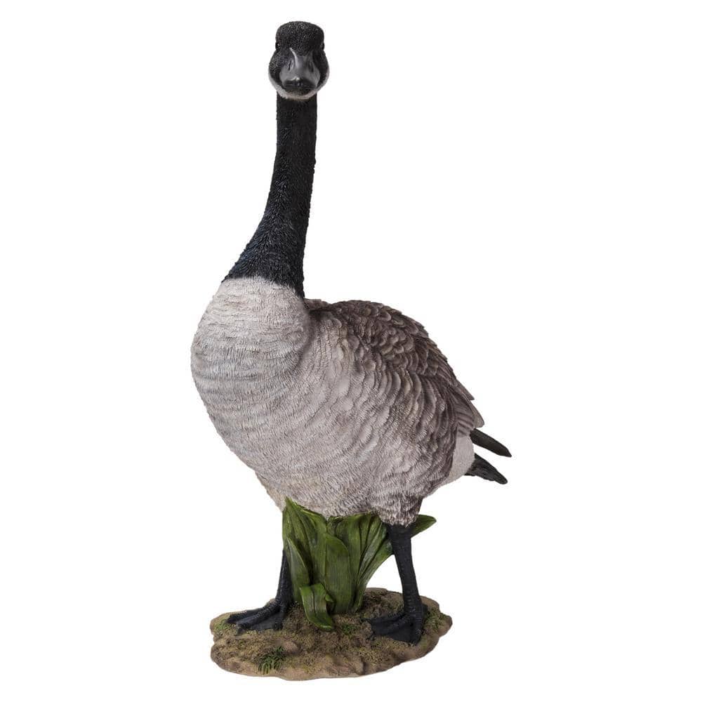 HI-LINE GIFT LTD. Standing Canada Goose Garden Statue 87662 - The Home ...