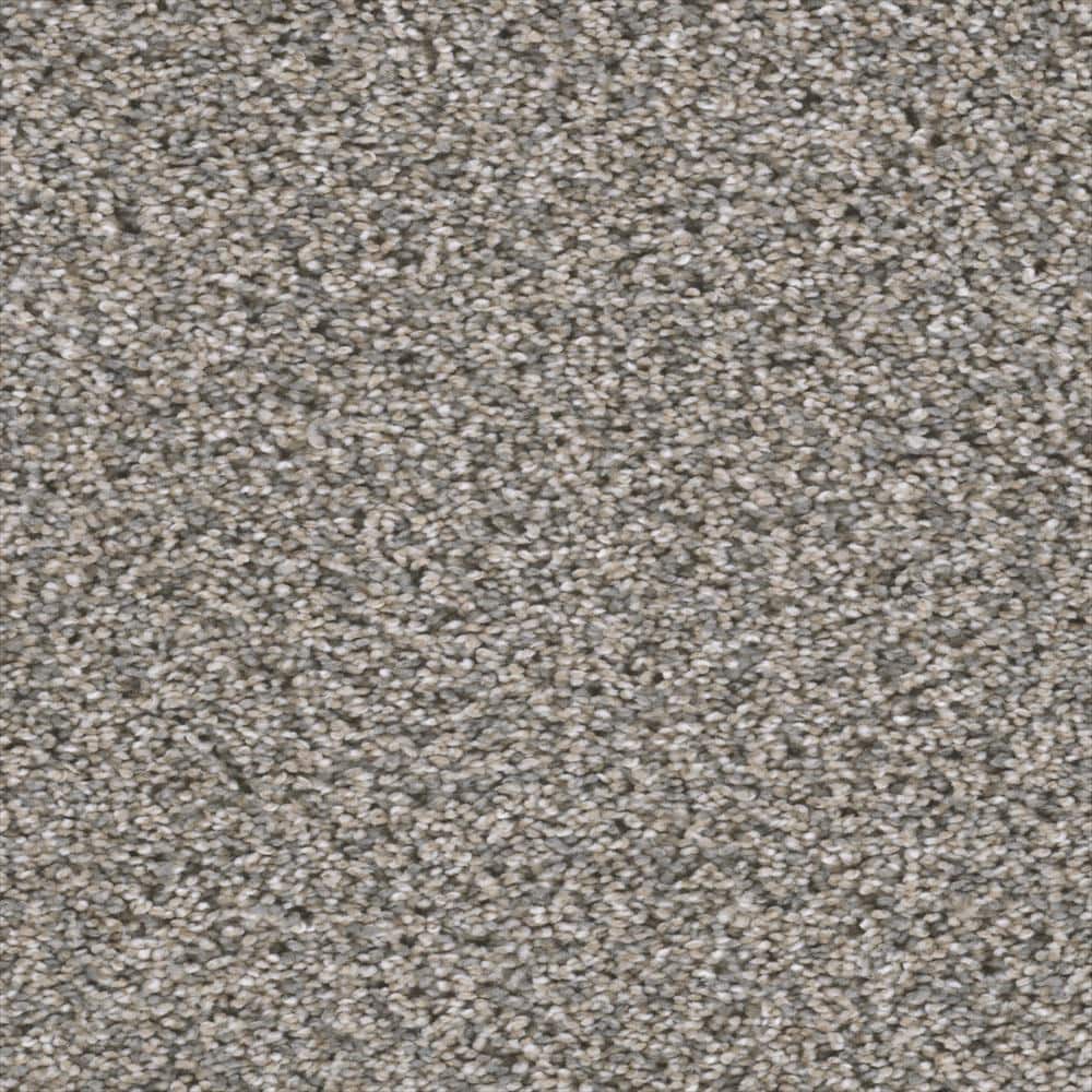 Home Decorators Collection 8 in. x 8 in. Texture Carpet Sample - Fall ...