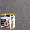 DAICH SpreadStone Mineral Select 1 qt. Lodestone Countertop Refinishing ...
