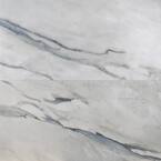 Ivy Hill Tile Montgomery Ribbon White 24 in. x 48 in. Matte Porcelain ...