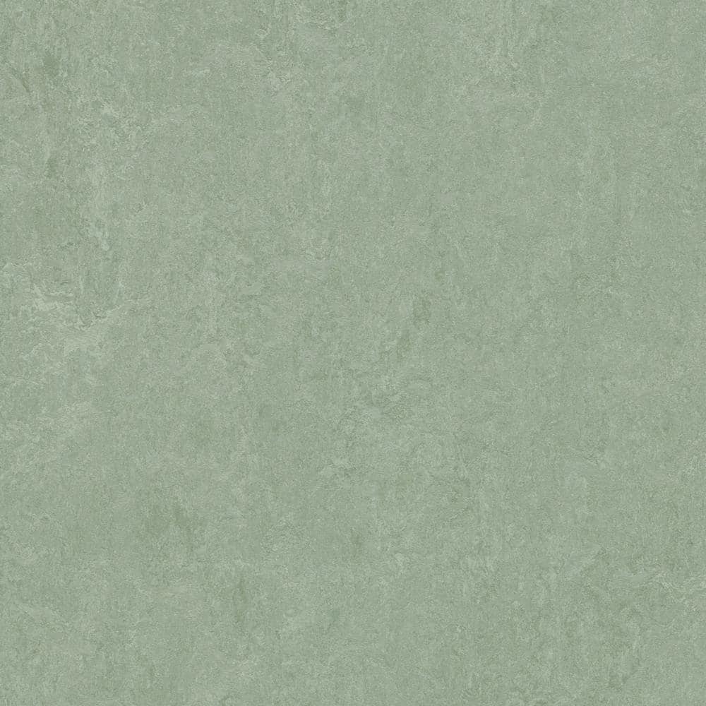 Marmoleum Cinch Loc Seal Sage 9.8 mm T x 11.81 in. W x 11.81 in. L ...