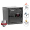 SANCTUARY Diamond 1.32 cu. ft. Fireproof/Waterproof Home & Office Safe ...