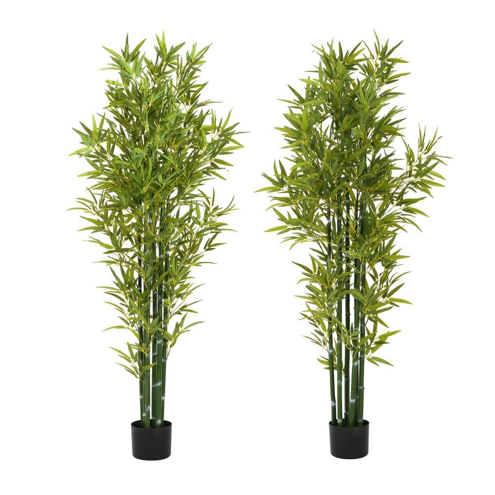CHRISTOPHER KNIGHT HOME 2-Piece 6 ft. Artificial Bamboo Trees With Pot ...