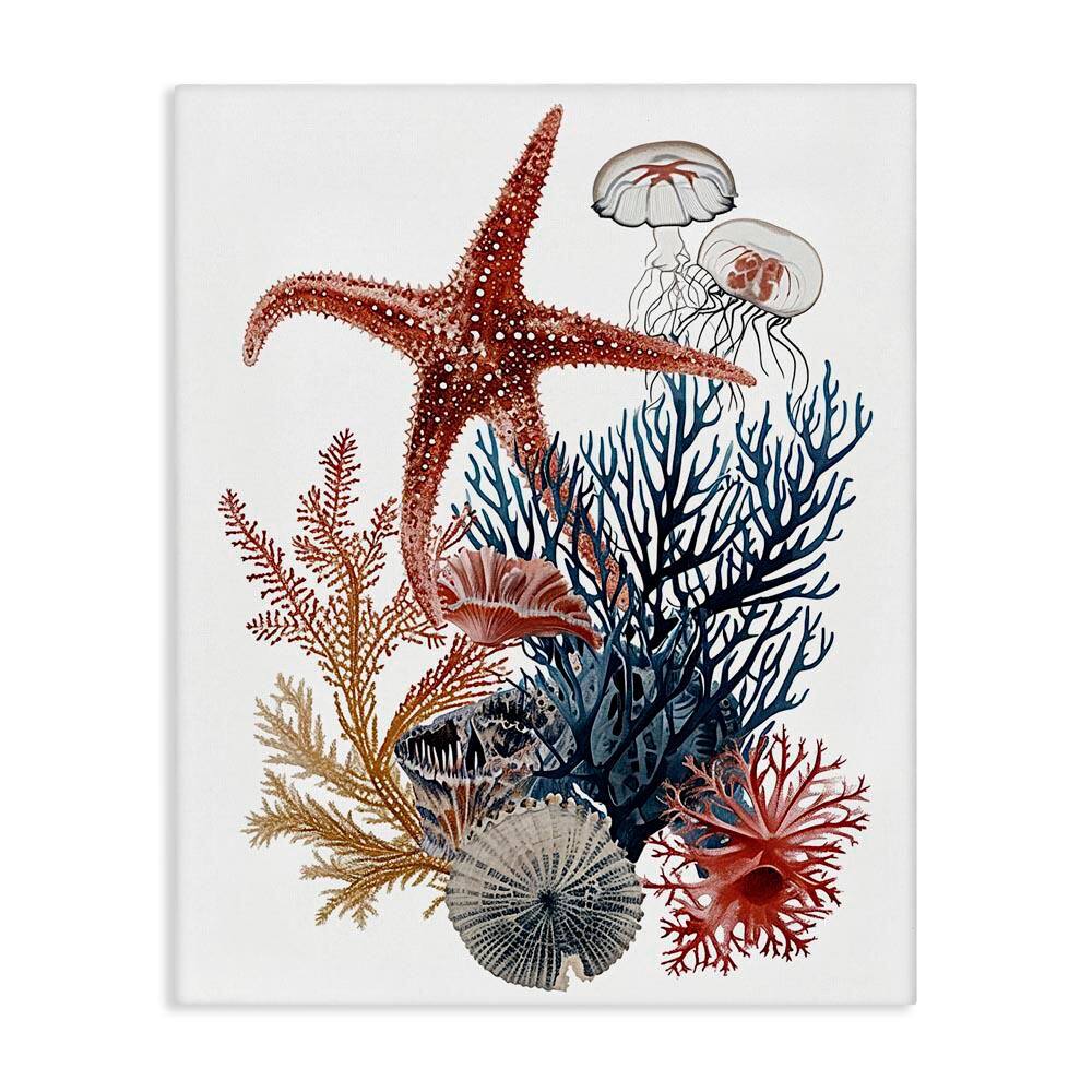 Stupell Industries Natural Aquatic Sea Creatures by Ramona Murdock ...