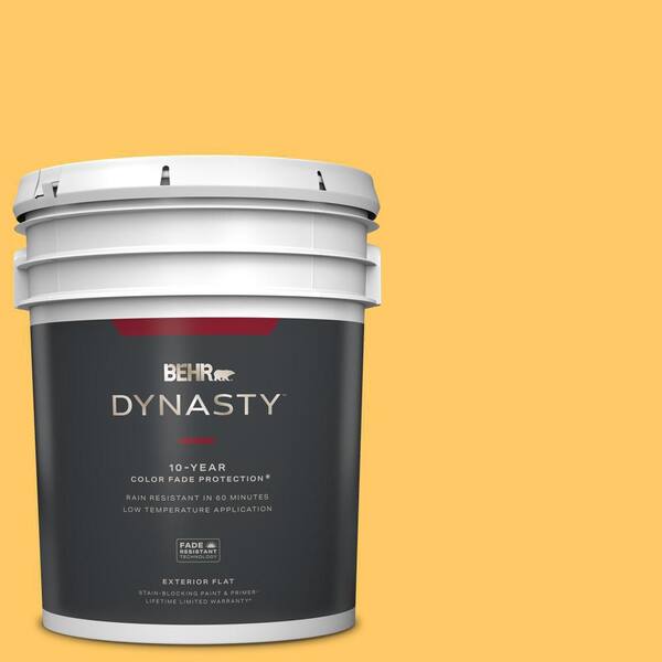 BEHR DYNASTY 5 gal. #P270-5 Fuzzy Duckling Flat Exterior Stain-Blocking ...