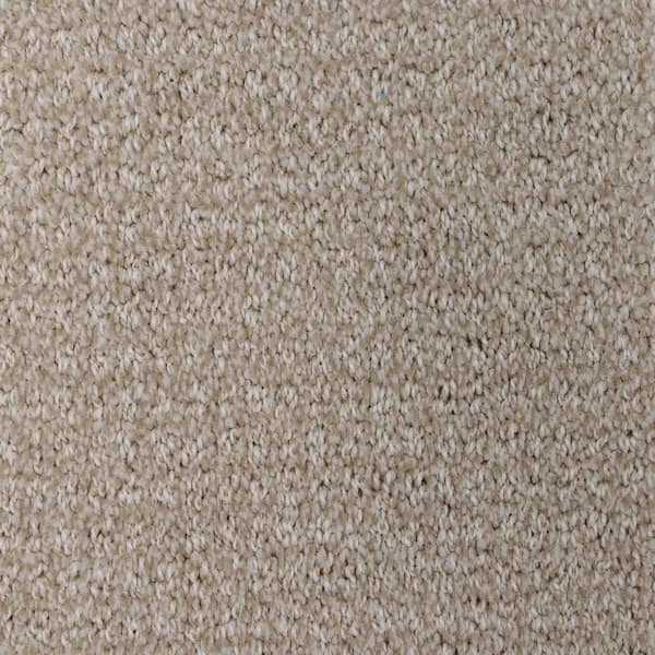 TrafficMaster 8 in. x 8 in. Pattern Carpet Sample - Tailgate Classic ...