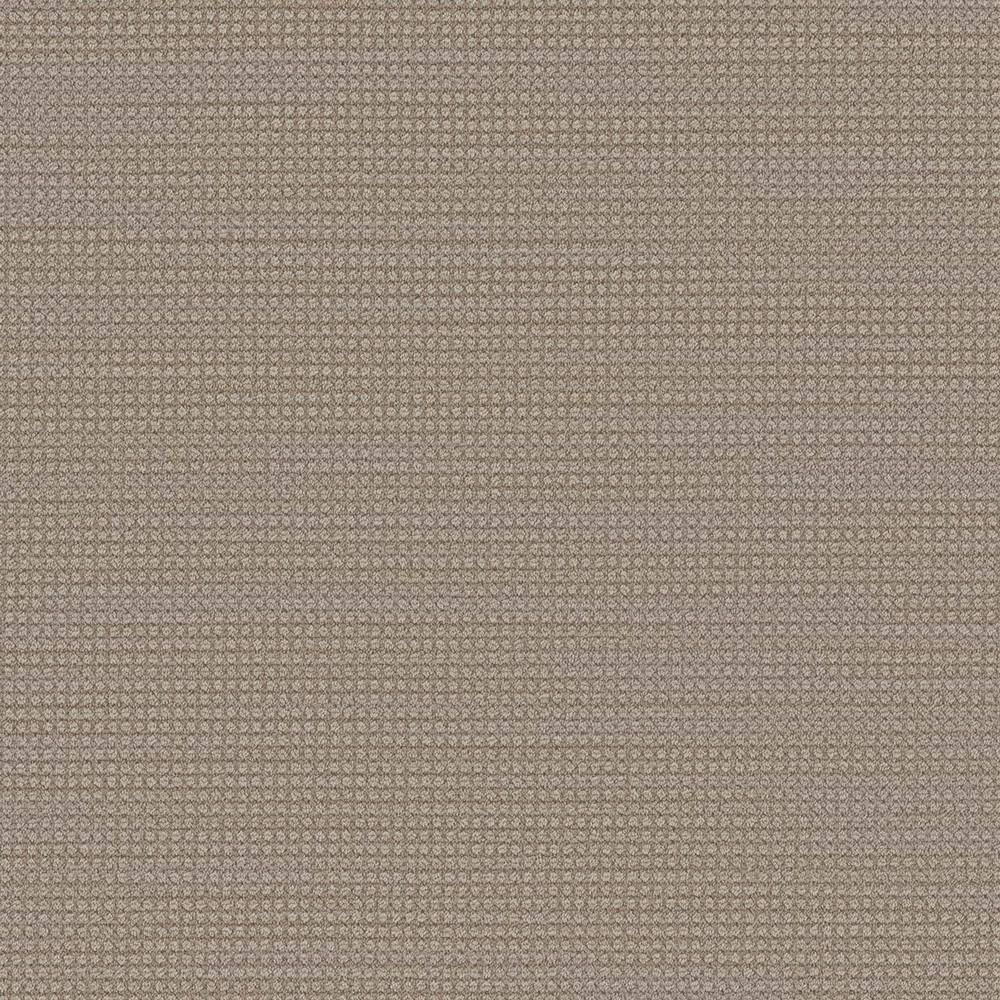 Lifeproof Thornbrook - Jazz - Beige 45 oz. Polyester Loop Carpet ...