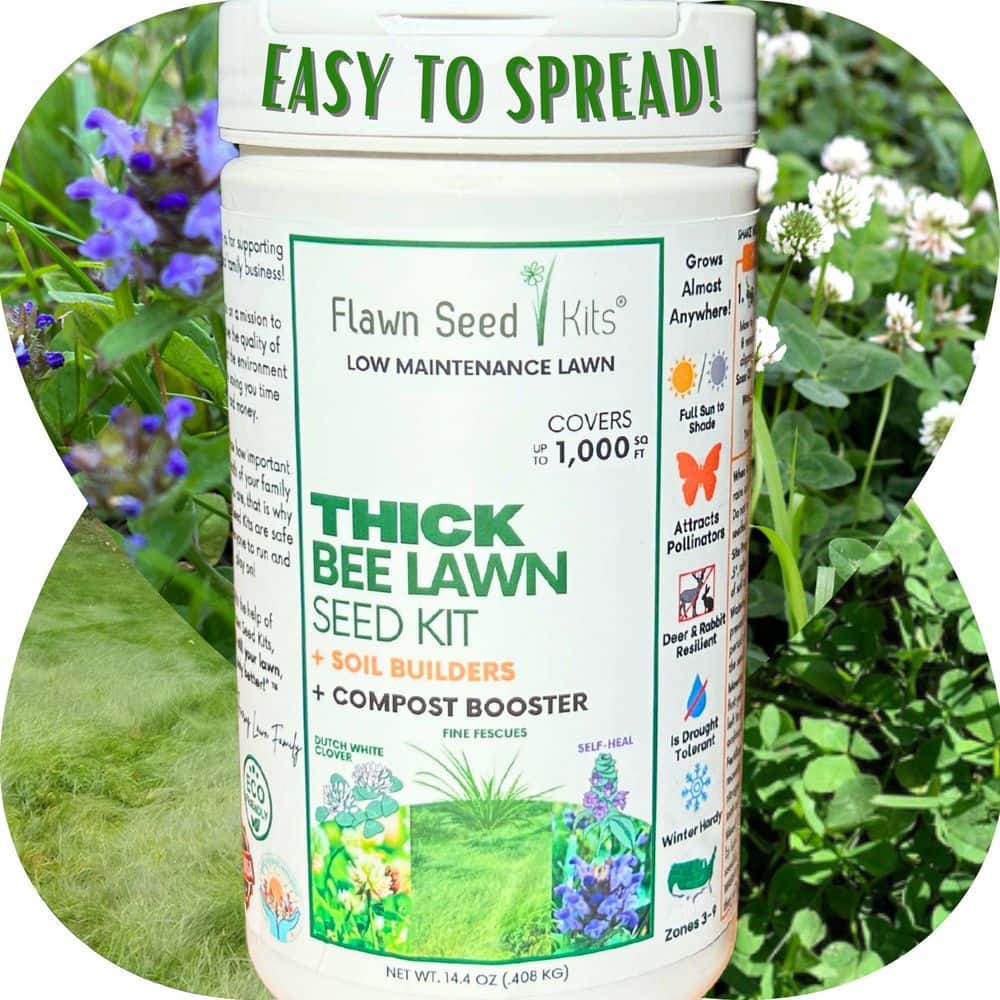 Flawn Seed Kits Thick Bee Flower Lawn Seed, Easy Spread Shaker, Low Mnt ...