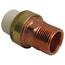NIBCO 1/2 in. CPVC-CTS and Copper Slip x MIPT Transition Union ...
