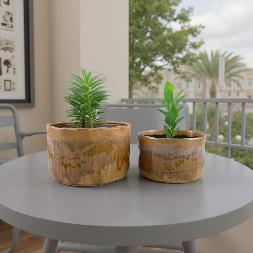 Benjara Foy Brown Indoor Ceramic Round Planter (12.25 in. W x 7.5 in. H ...