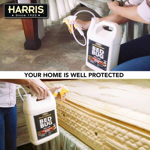 Home Depot Bed Bug Kits