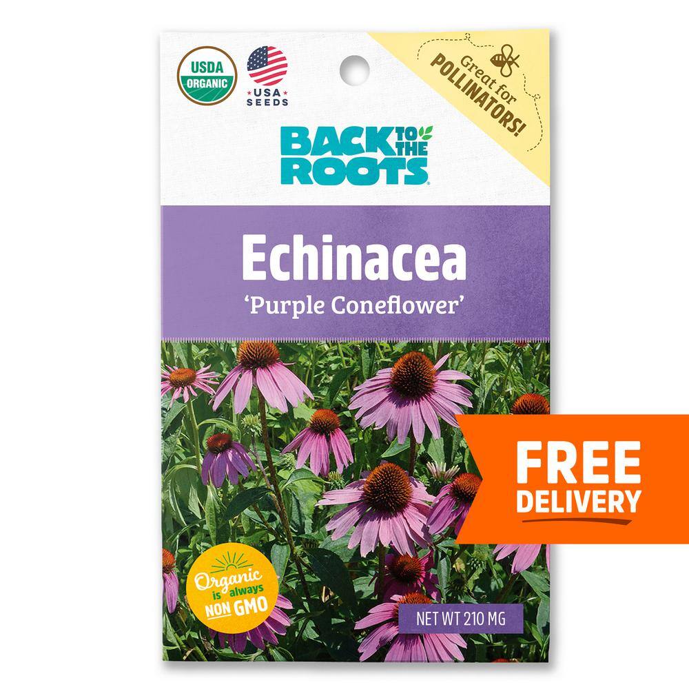 Back to the Roots Organic Purple Coneflower Echinacea Seed (1-Pack ...