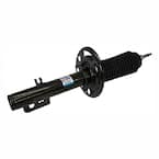 Motorcraft New Suspension Strut Assembly-AST-362 - The Home Depot
