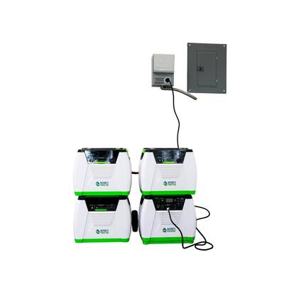 NATURE'S GENERATOR 1800-Watt/2880W Peak Push Button Start Solar Powered ...