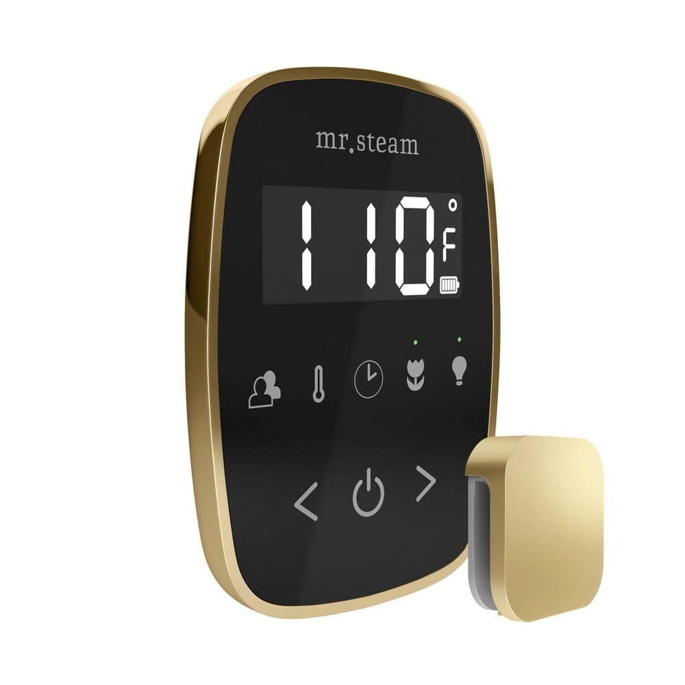 Mr. Steam TempoFlex Steam Shower Control and Steamhead in Black Satin ...