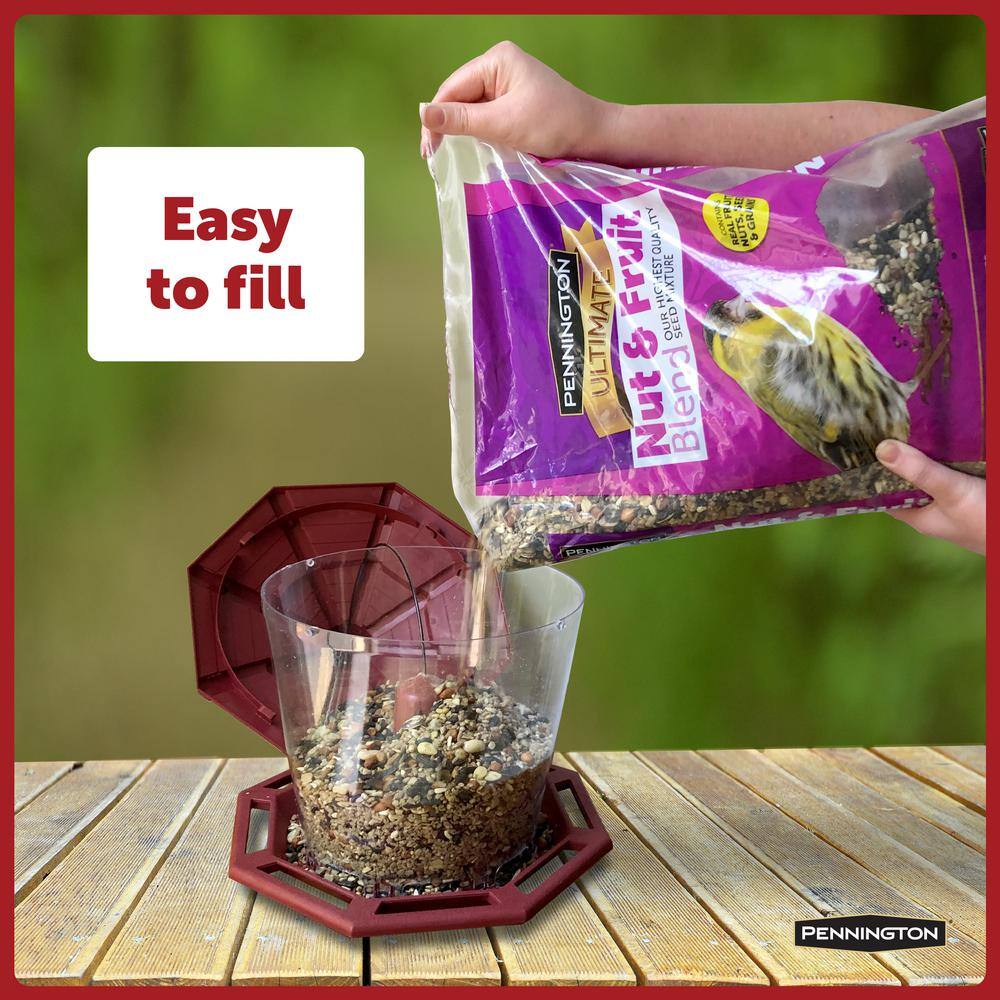 Buy Recycled Ecozebo Red Bird Feeder Online at Lowest Price in Ubuy ...