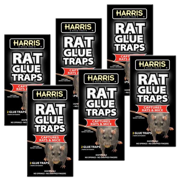 Harris Pre-baited Rat Glue Traps (6-Pack) 6BLK-RG2 - The Home Depot
