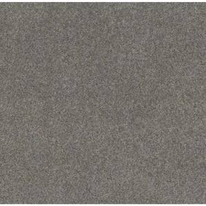 Home Decorators Collection 8 in x 8 in. Texture Carpet Sample ...