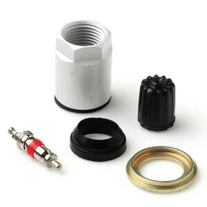 Xtra-Seal TPMS Sensor Service Kit 17-20201AK - The Home Depot