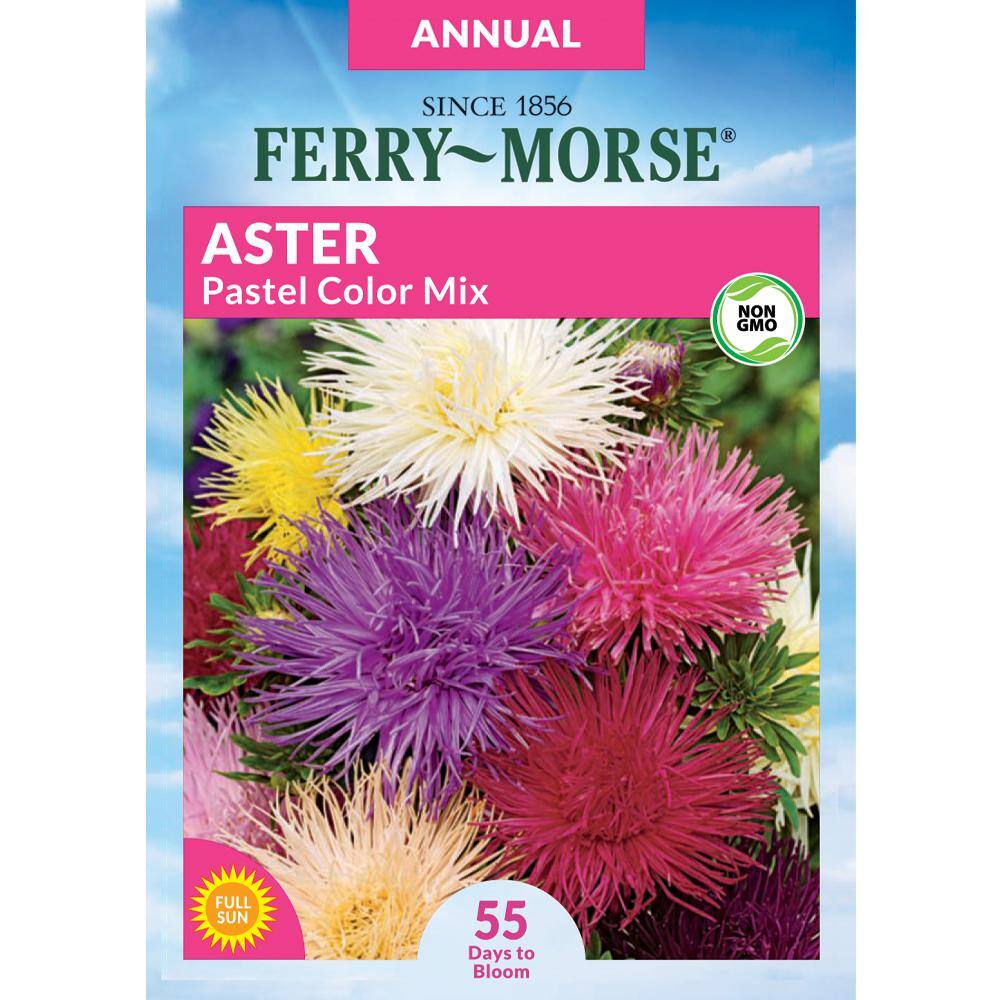 Ferry-Morse Aster Pastel Color Mix Flower Seeds 9502 - The Home Depot