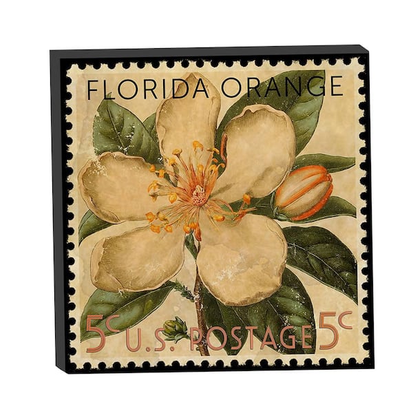 VENICE BEACH Collections Florida State Flower Orange Blossom Postage ...