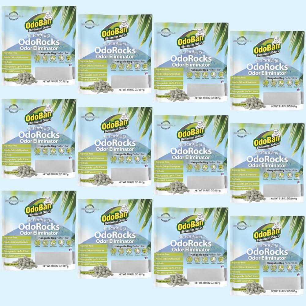 OdoBan 32 oz. OdoRocks Natural Volcanic Rock Odor Eliminator, Unscented ...