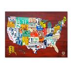 Trademark Fine Art 14 in. x 19 in. "License Plate Map USA" by Design ...