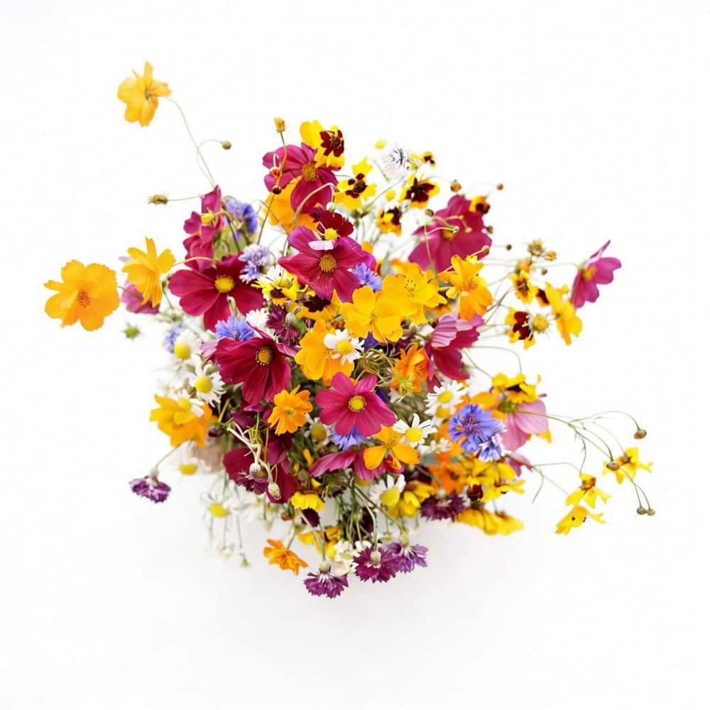 Outdoor Planting Flower Seeds, Wildflower Mixed Seeds HP0E5ONAO0 - The ...