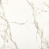 Dekton 4 in. x 4 in. Ultra Durable Countertop Sample in Entzo Calacatta ...