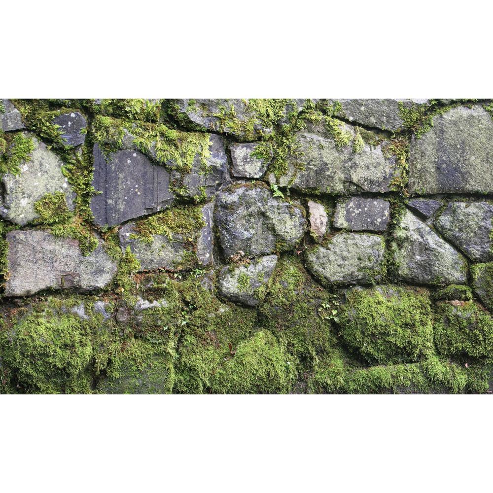 Biggies Moss View - Weather Proof Scene for Window Wells or Wall Mural ...