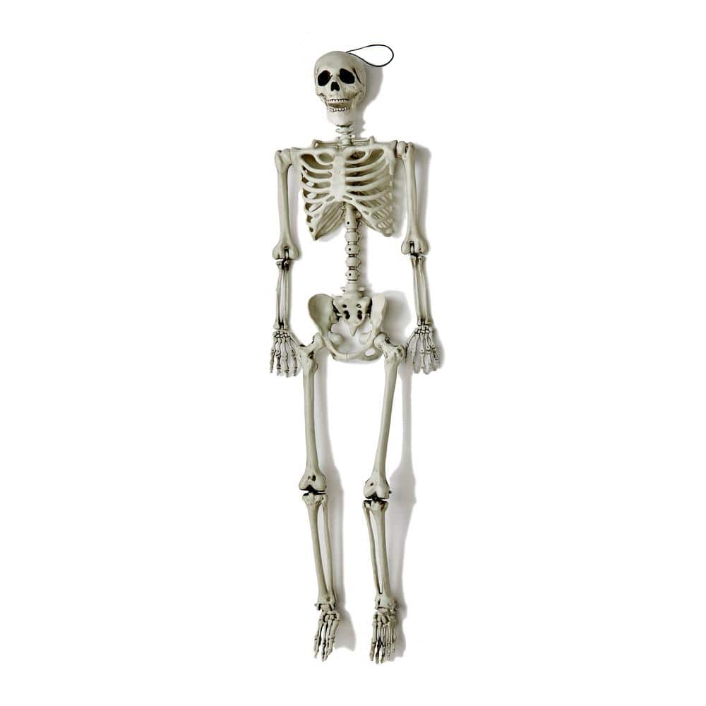 Worth Imports 60 in. Halloween Life Size Hanging Skeleton 4249 - The ...