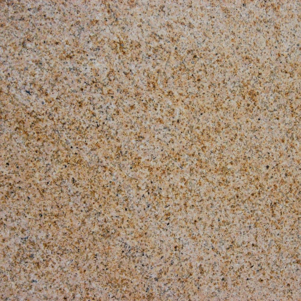 MSI Take Home Tile Sample - Gold Rush 4 in. x 4 in. Polished Granite ...