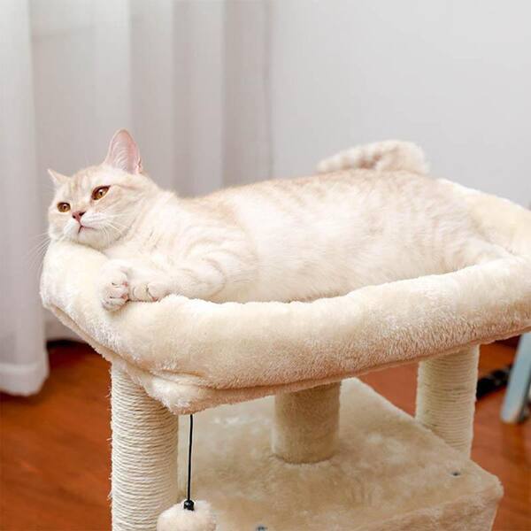 Clear Acrylic Dome Cat Bed Window Perch Indoor Cat Furniture Clear ...
