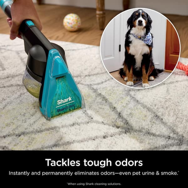 Shark Carpetxpert Hairpro Pet with StainStriker, Corded Deep Rug and ...